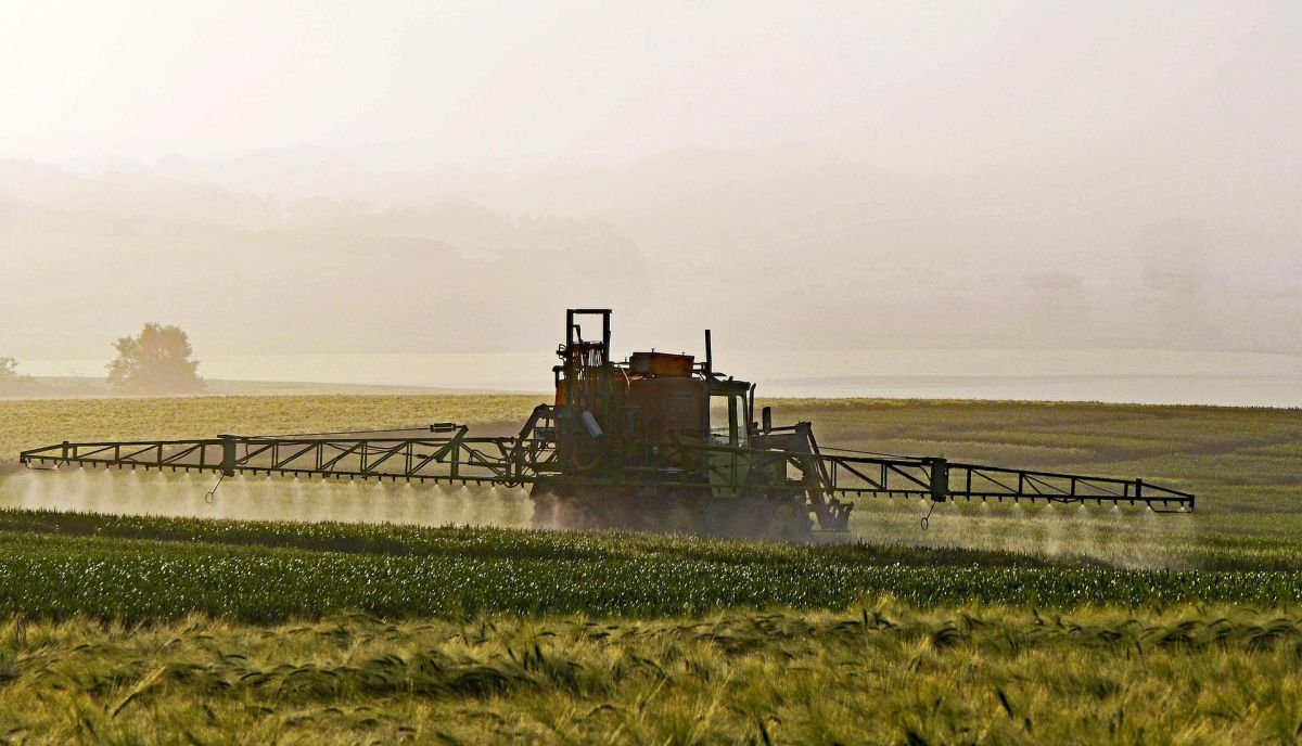 Pestycydy – co to jest i kiedy je stosować? - Rośliny