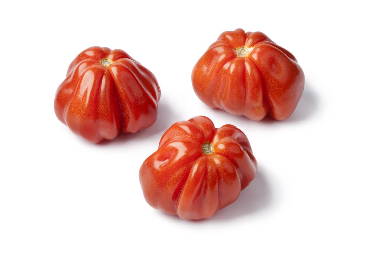 Pomidor bawole serce – uprawa, pielęgnacja, odmiany - Rośliny